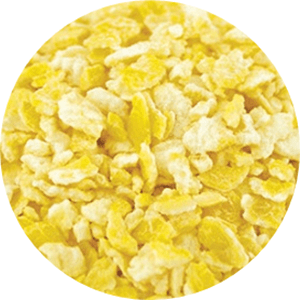 Flaked Corn (Maize)